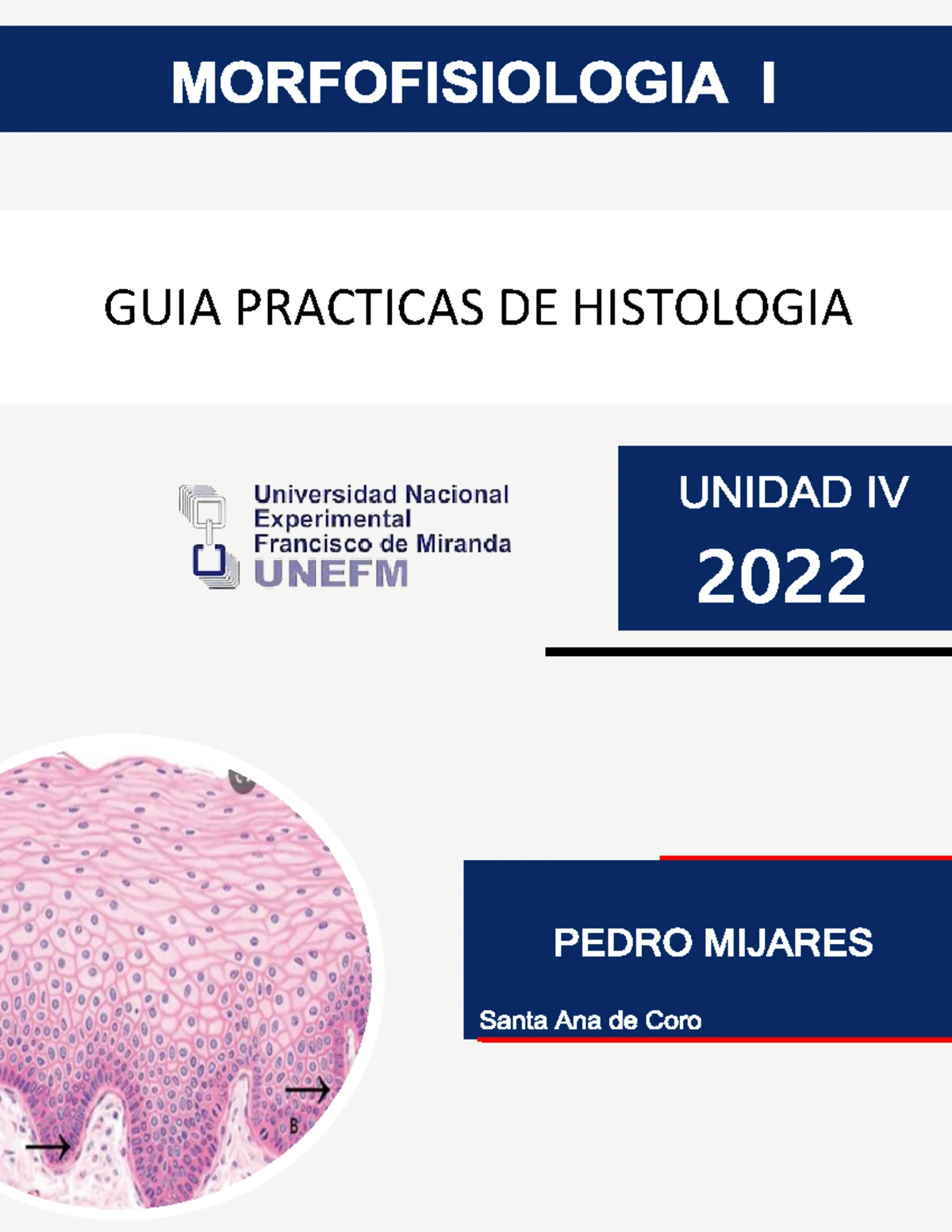 Anatomía y Funciones del Radio y Ulna (Cúbito) - Kenhub - Studocu