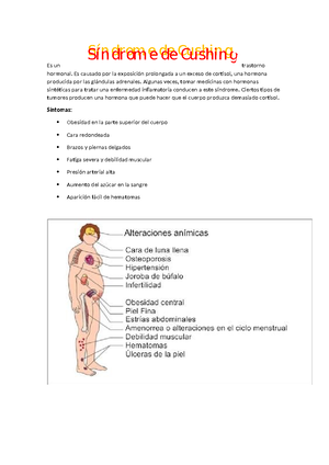 El reflejo miotático muscular - El reflejo miotático muscular, también ...