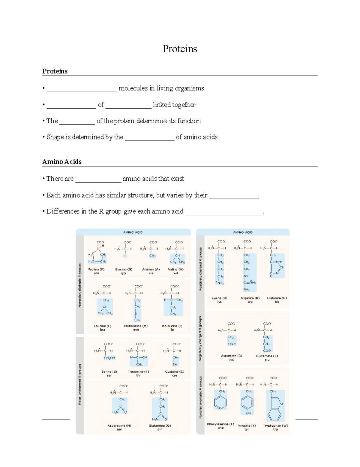 3 - Proteins - info - Proteins Proteins ...