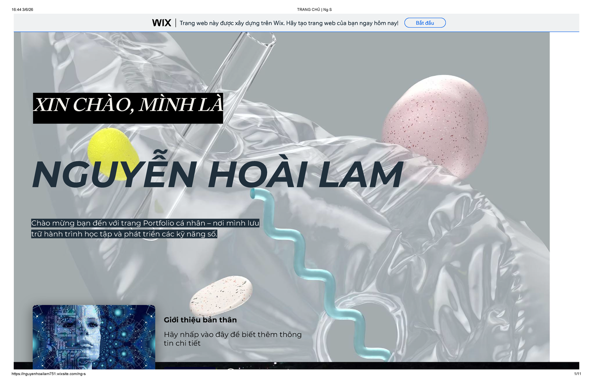 Portfolio Kỹ Năng Số - Nguyễn Hoài Lam - Studocu
