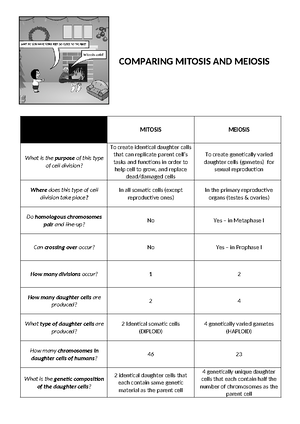 Punnett Squares example - Human Biological Science Unit HBS2A Punnett ...