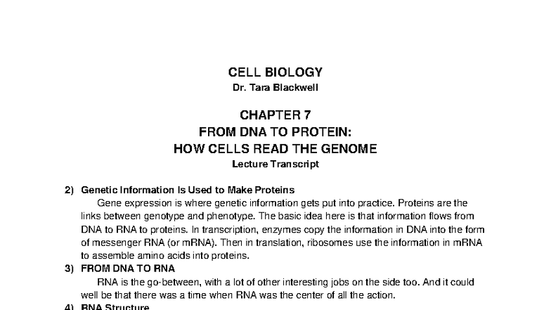 CELL BIOLOGY 2 CHAP 7 LECTURE TRANSCRIPT: FROM DNA TO PROTEIN - Studocu