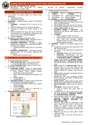 ANAPHY 6: SKELETAL SYSTEM LECTURE NOTES AND OUTLINE - Studocu