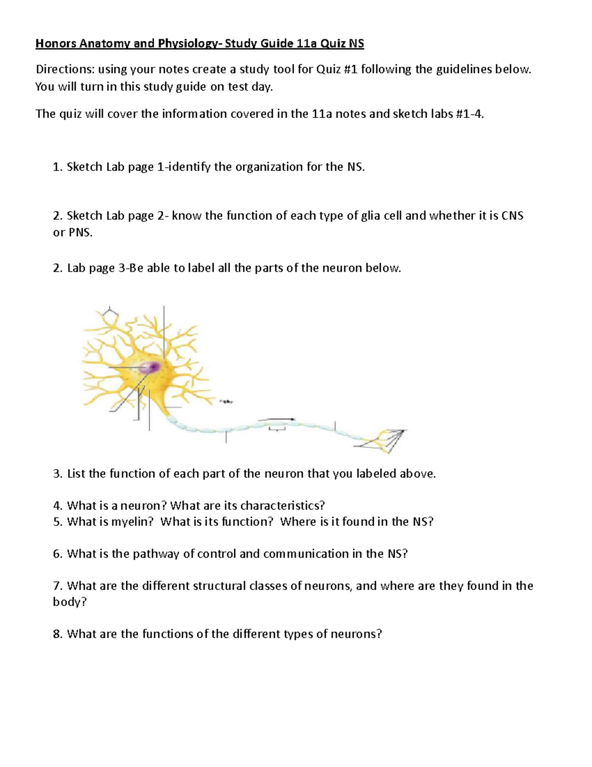 Honors Anatomy & Physiology Study Guide for Quiz 1 (NS 11a) - Studocu