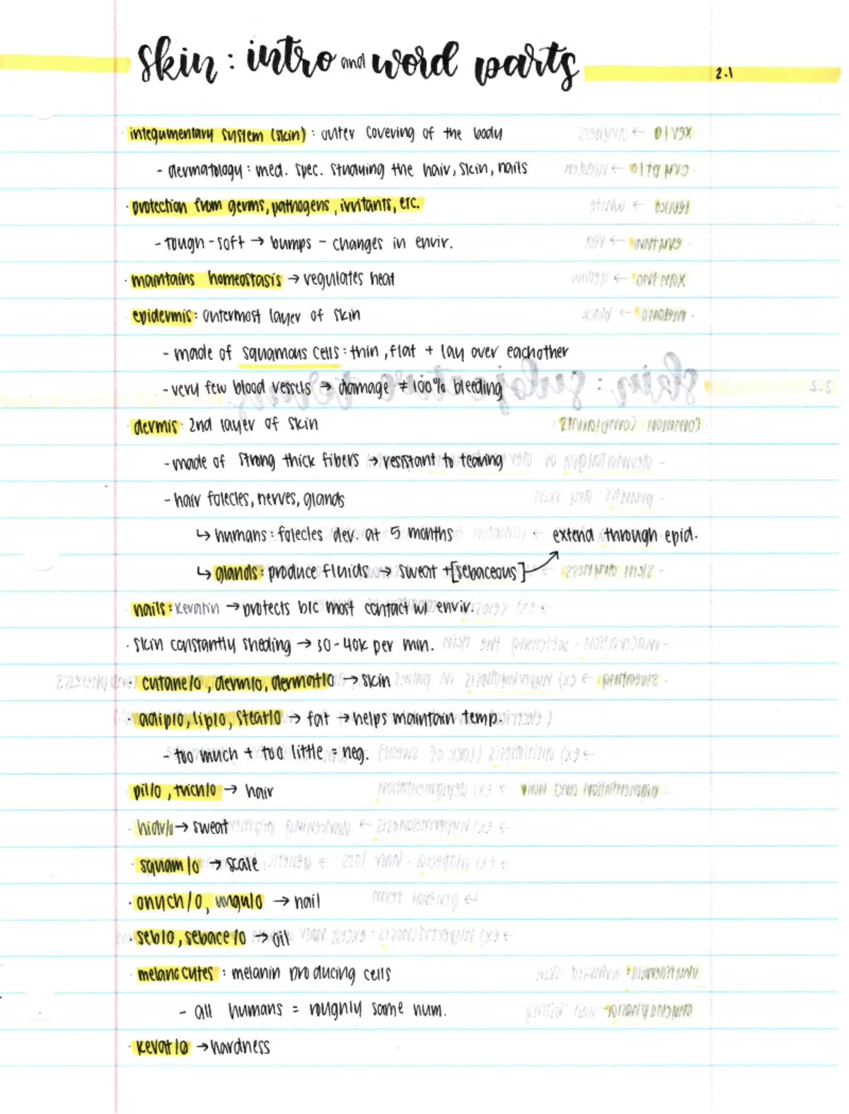 EHR Go 2: Activity on Health Info Terminology (Associate AK1008) - Studocu