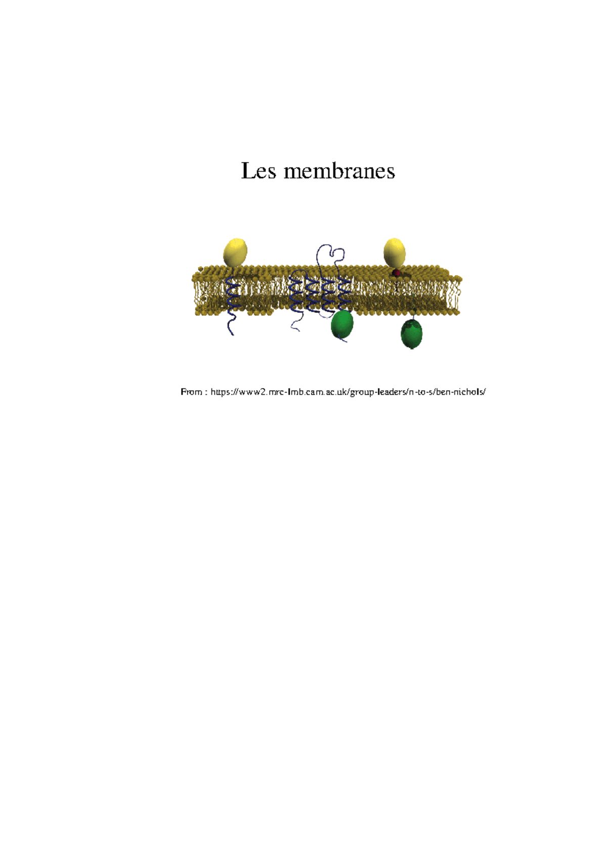 Transport Passif et Actif des Molécules à Travers la Membrane ...