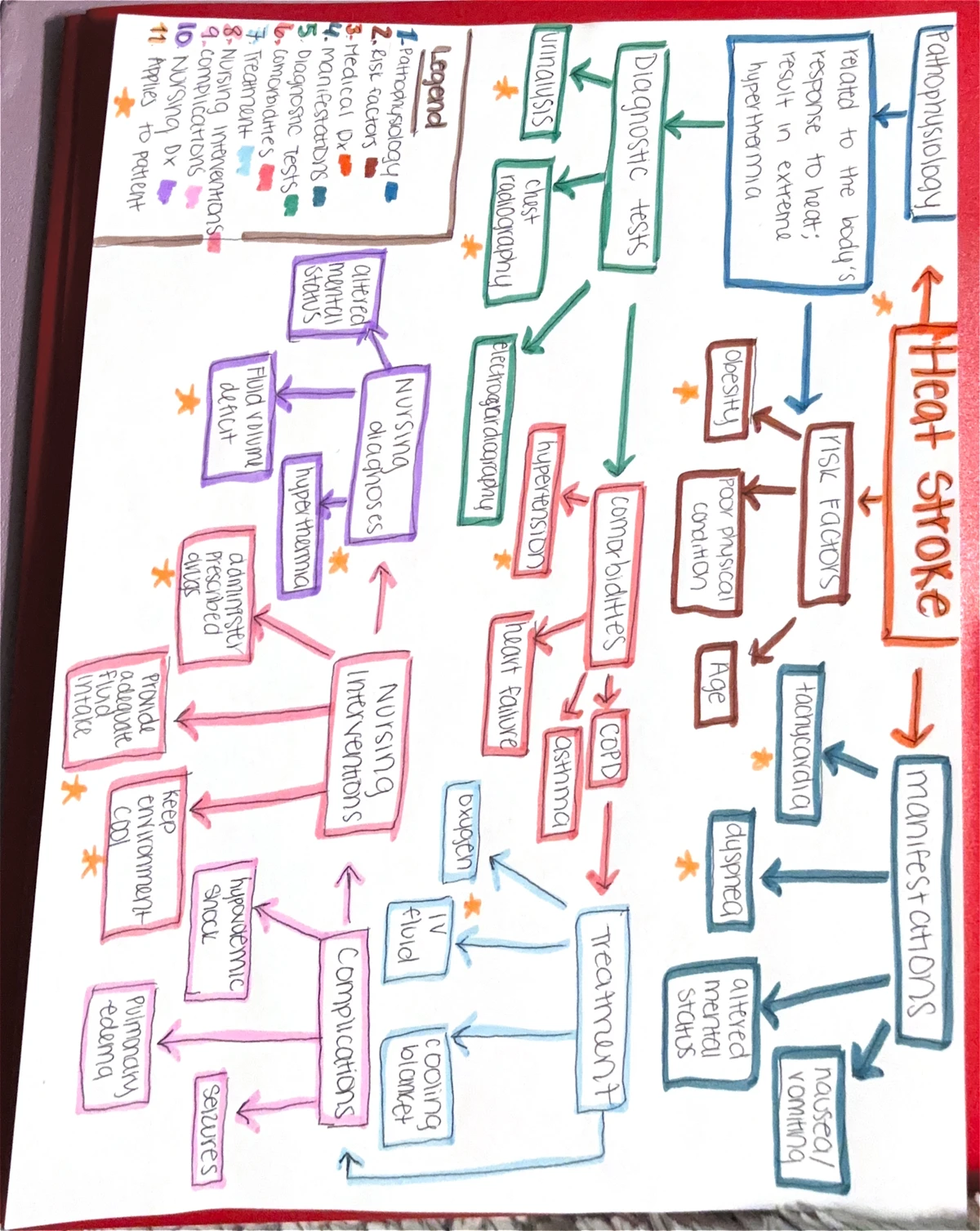 Clinical paperwork patho flow sheet for stroke patho and manifestation ...