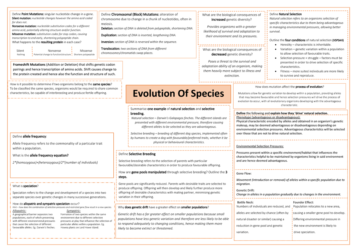 Revision - Evolution of Species - Evolution Of Species Define Point ...
