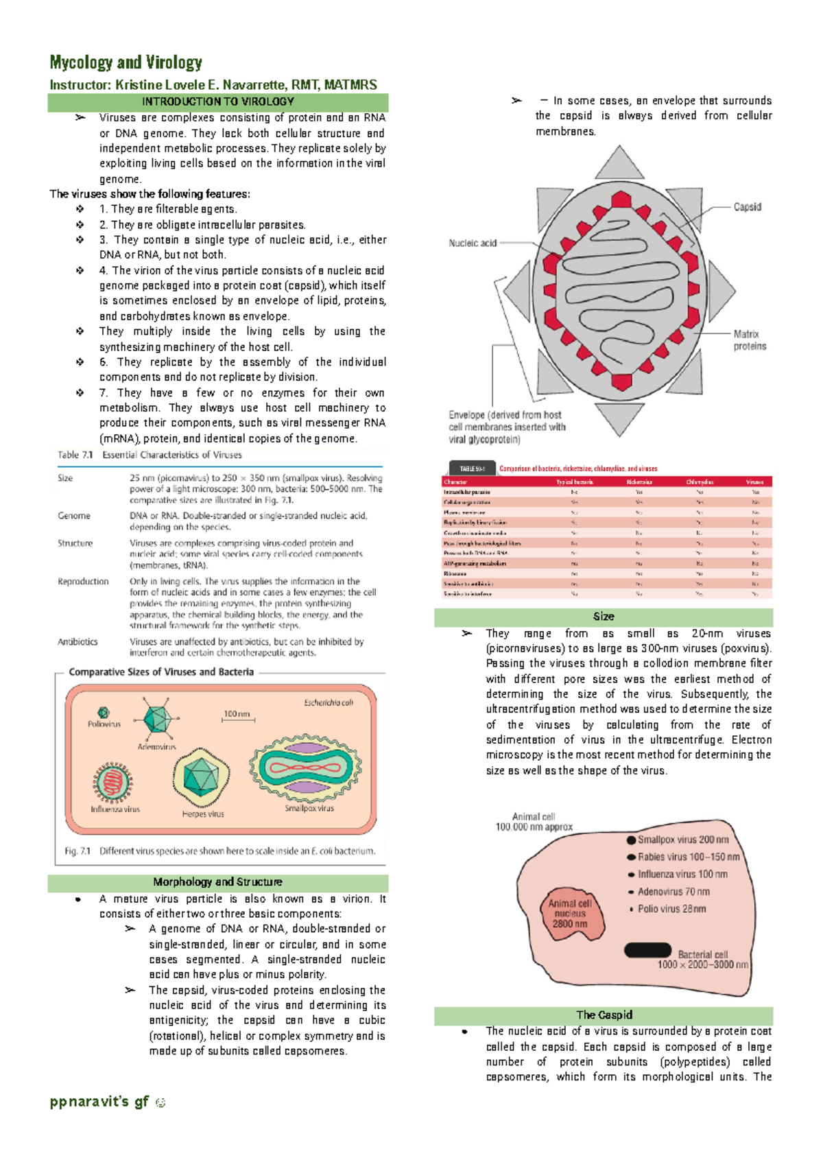 Intro to Virology: Key Concepts and Viral Structures (MYC-VIR 101 ...