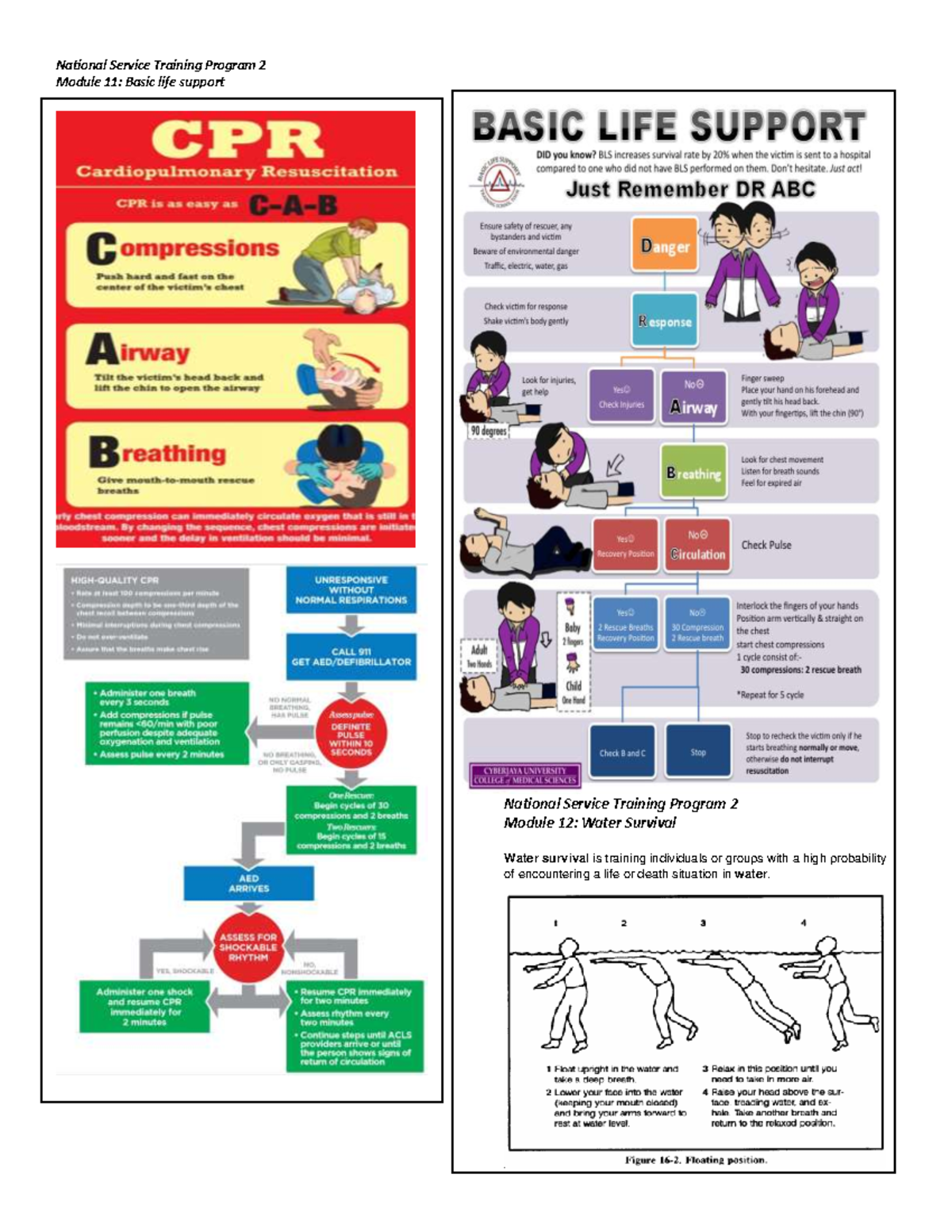 MODULE 10-12: BSL & Water Survival Training in NSTP 2 - Studocu