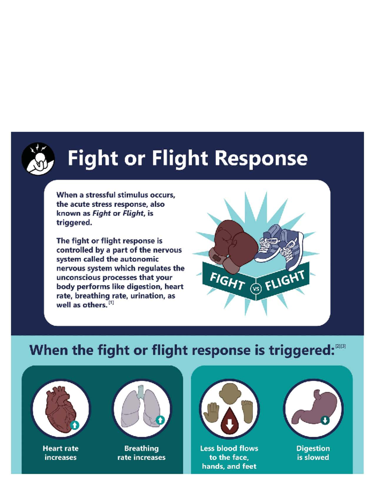 Fight or Flight Response: Understanding the Acute Stress Reaction - Studocu