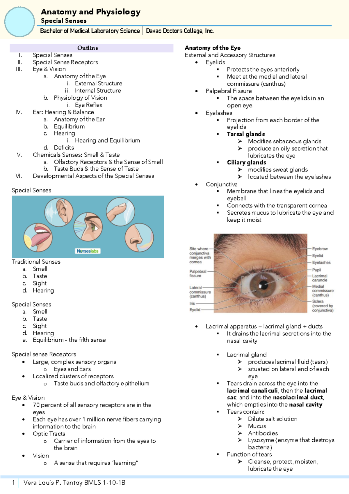 Special Senses - Special Senses Bachelor of Medical Laboratory Science ...