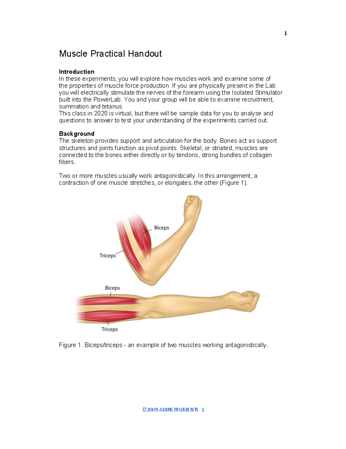 Muscle Practical Lab Guide: Force Production & Recruitment Analysis ...