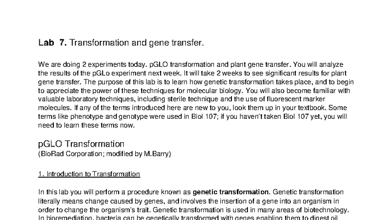 Lab 7: Transformation & Gene Transfer - pGLO Experiments - Studocu