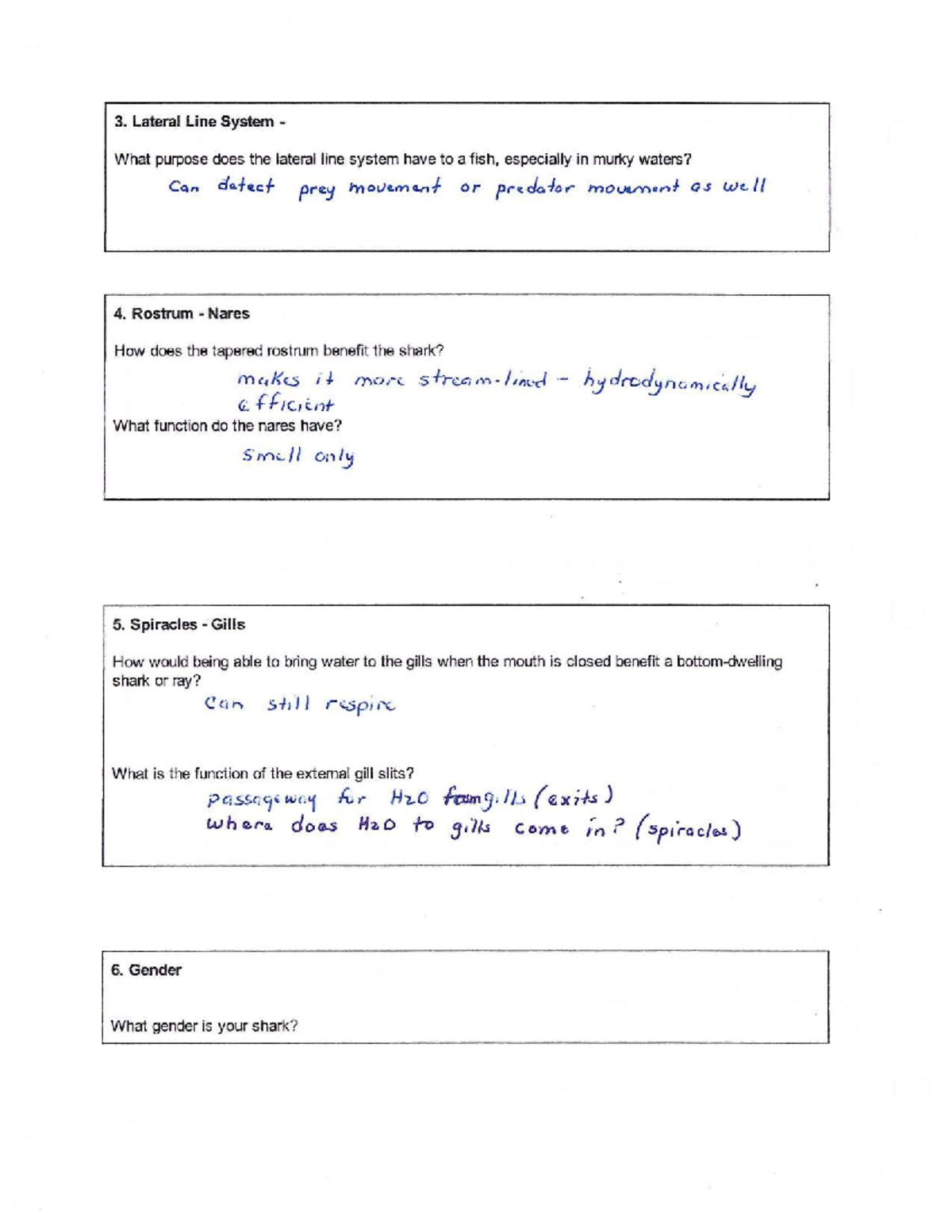 Final Exam Study Guide: Lateral Line & Shark Anatomy - Studocu