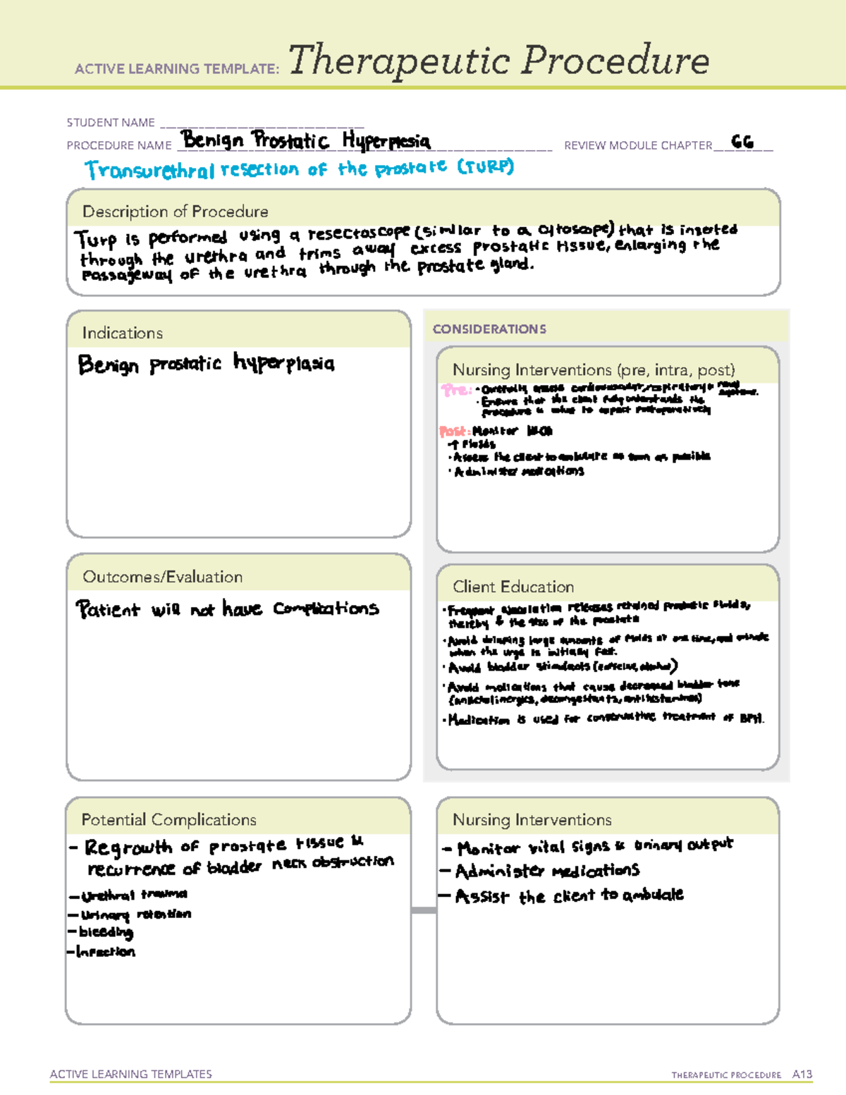 Therapeutic Procedure Template for BPH Management: Active Learning ...