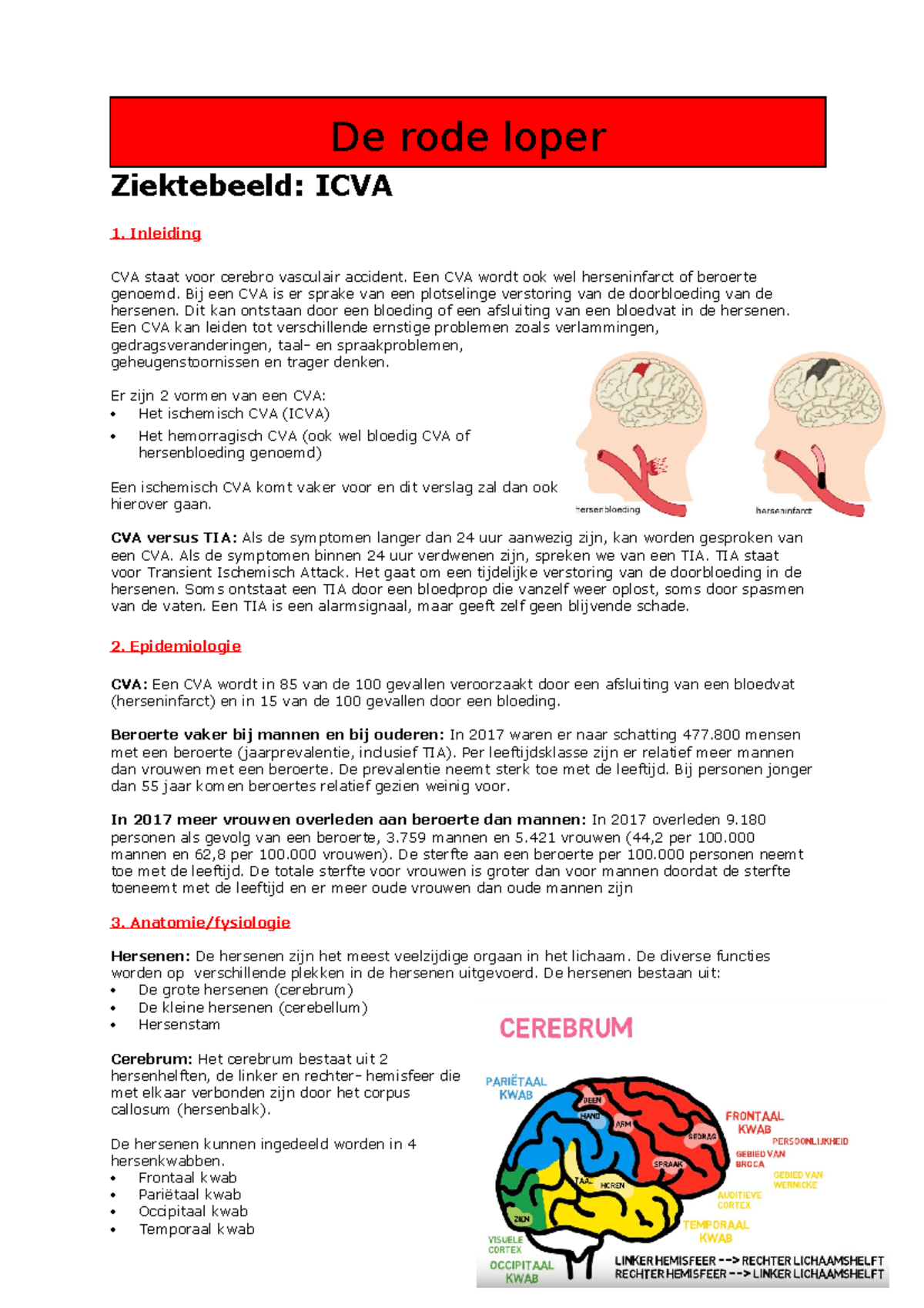 ICVA: Begrip, Epidemiologie en Behandeling in het Zorgproces - Studeersnel