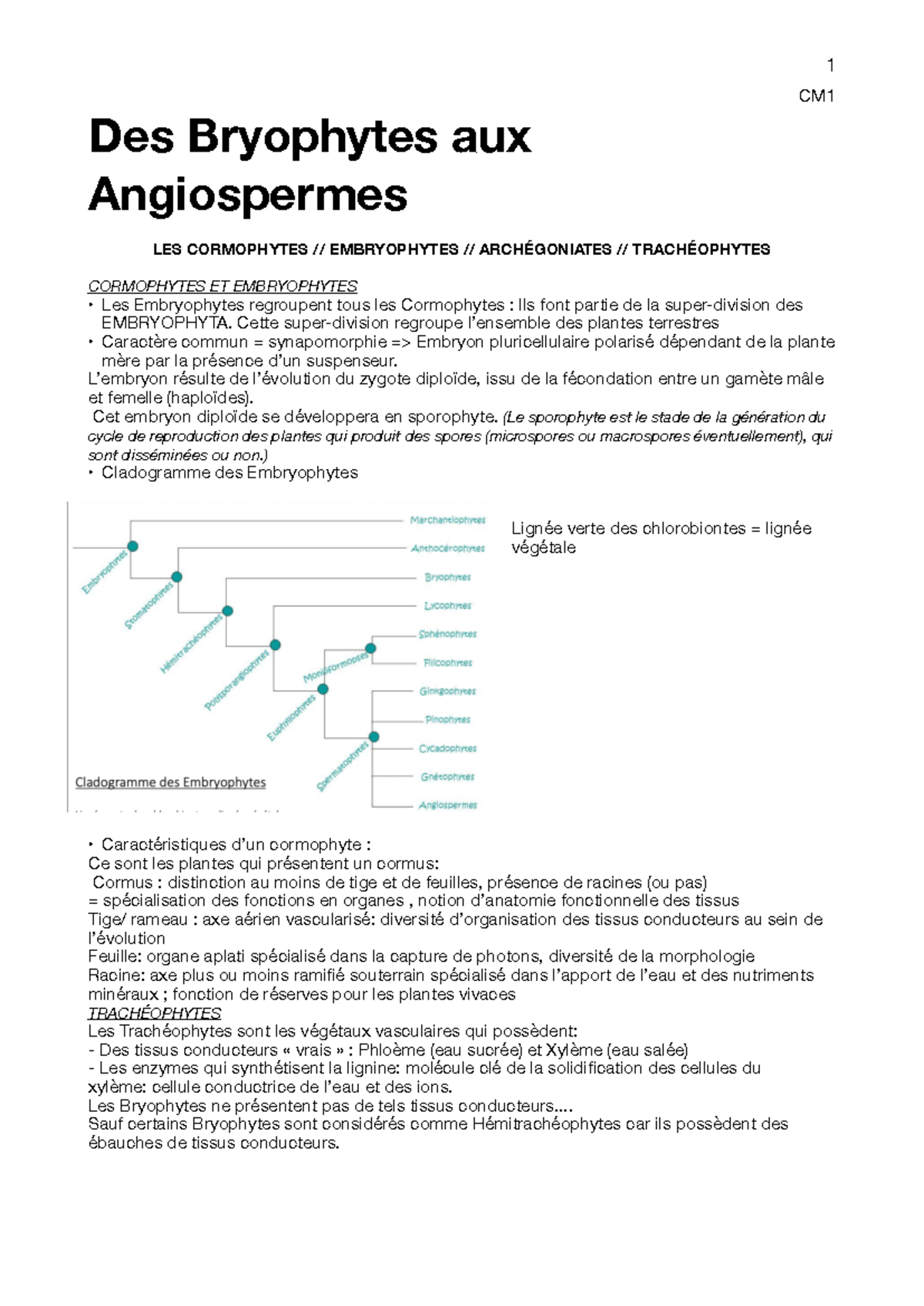 Diversité végétale - CM Des Bryophytes aux Angiospermes LES CORMOPHYTES ...