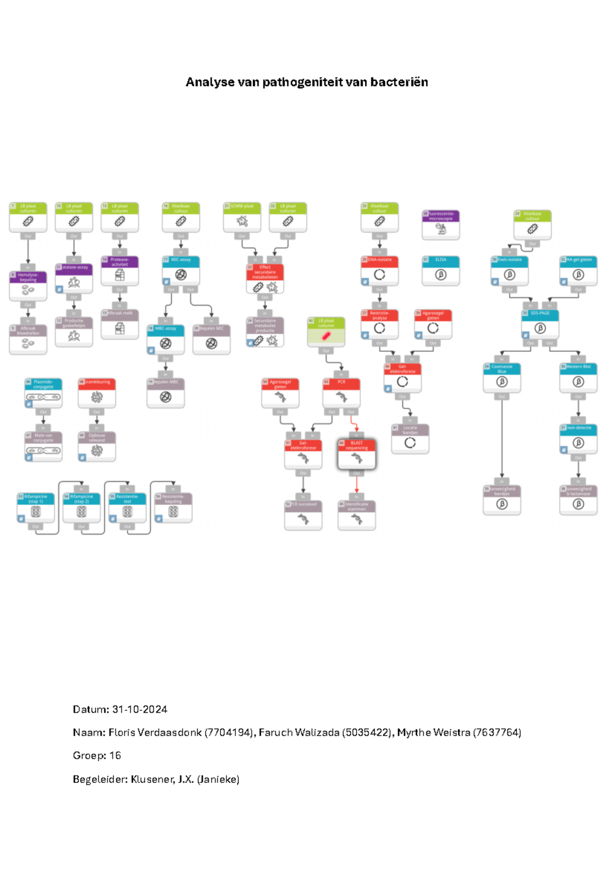 Labjournaal Thema 1 Groep 16: Analyse van Pathogeniteit van Bacteriën ...