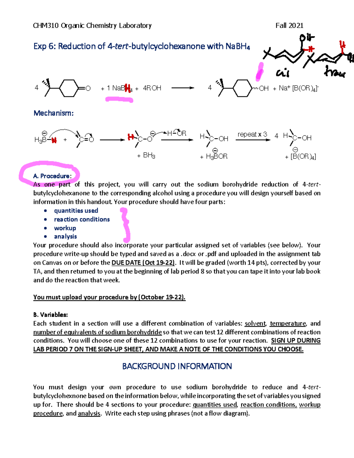 NABH4 Reduction of 4-Tert-Butylcyclohexanone Procedure Guide - Studocu