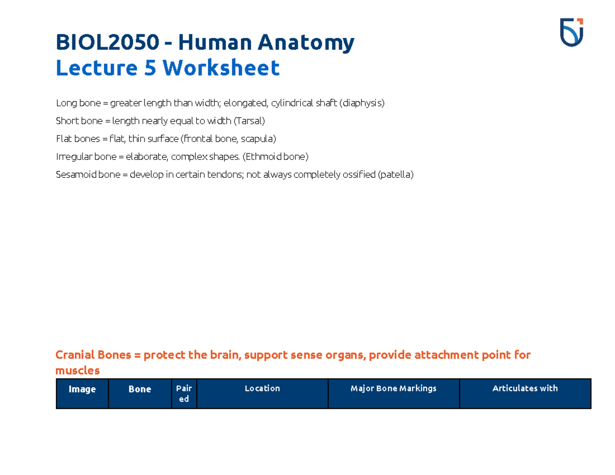 BIOL2050 - Lecture 5 Worksheet - BIOL2050 - Human Anatomy Lecture 5 Worksheet Long bone ...