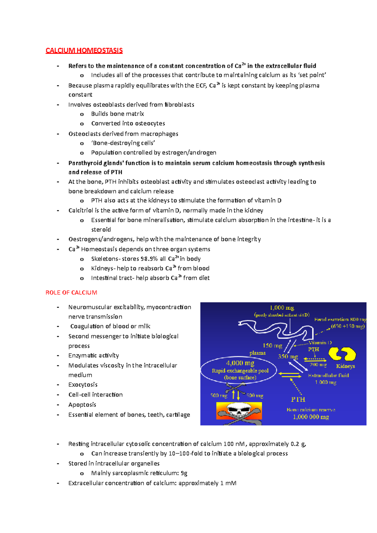 Calcium Homeostasis - Lecture notes 1 - CALCIUM HOMEOSTASIS - Refers to ...