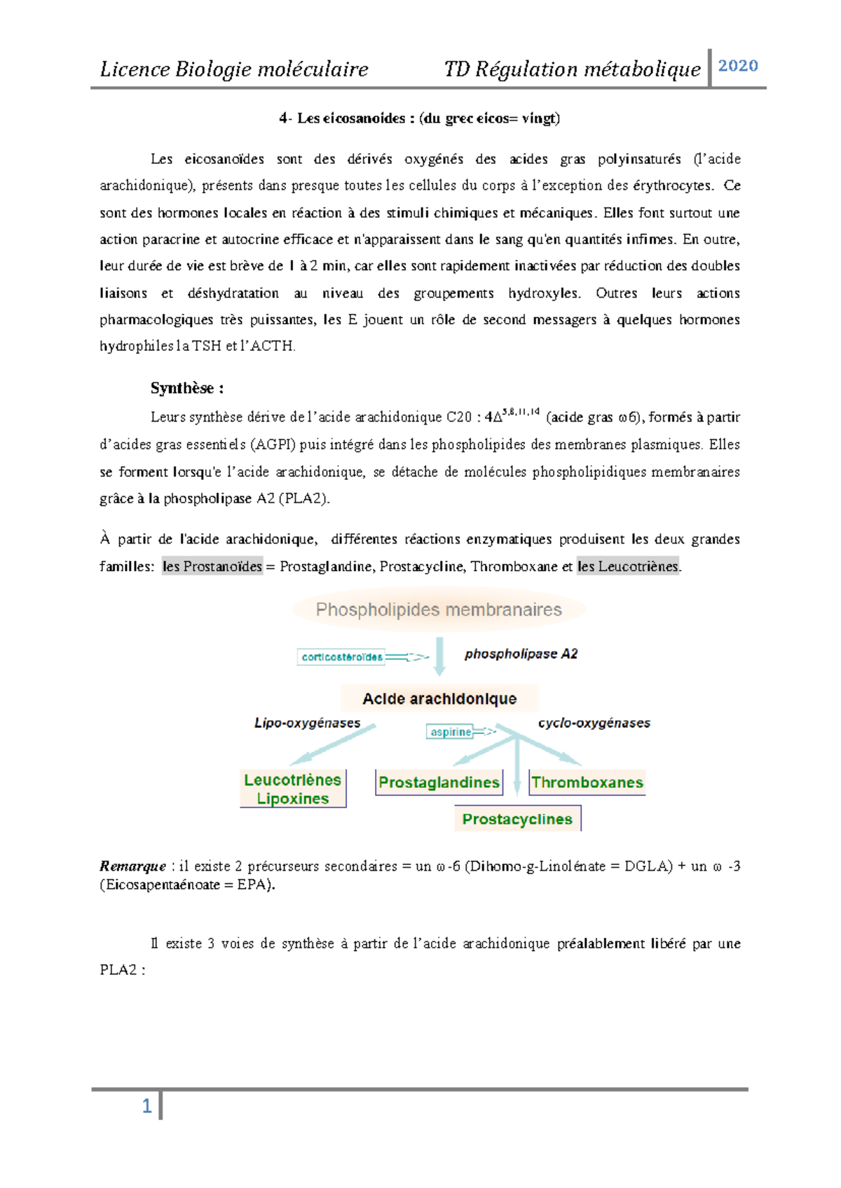4- eicosanoides - cours régulation métabolique - 4- Les eicosanoides ...