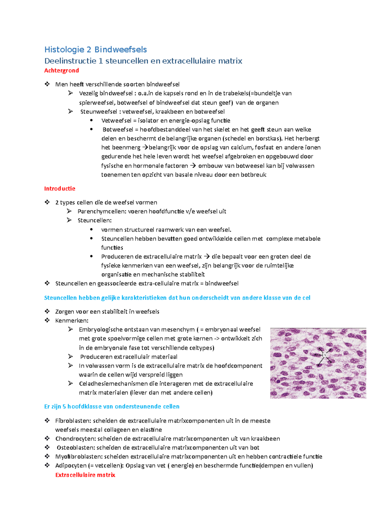 Histologie 2: Bindweefsels en Extracellulaire Matrix Overzicht - Studocu