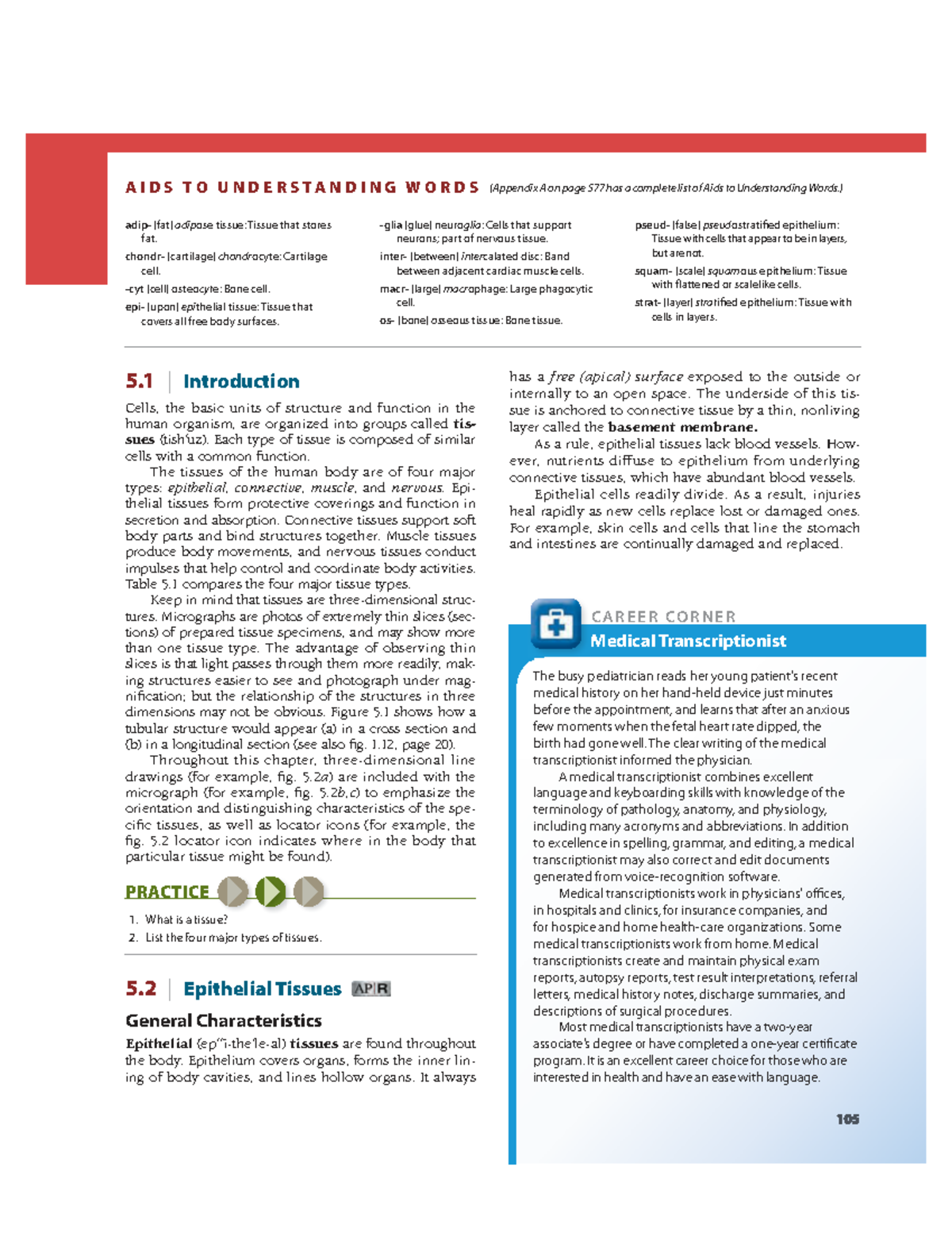 Final Exam Study Guide for A&P: Understanding Tissues and Cells - Studocu
