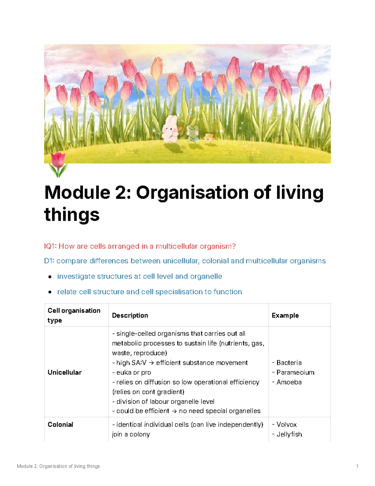 Bio Mod 2: Organisation of Living Things - Comprehensive Study Notes ...