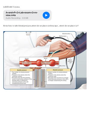 Medication Drug card Metronidazole - ACTIVE LEARNING TEMPLATES ...