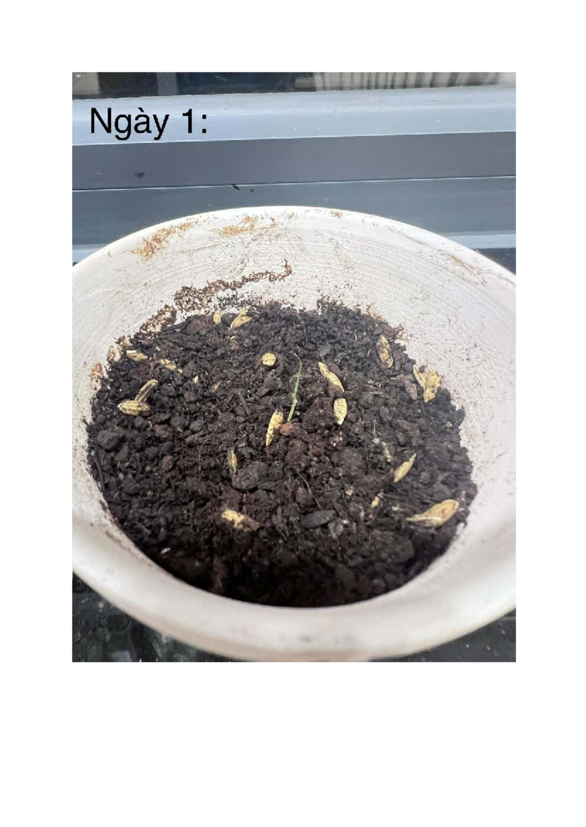 Mã Ngọc Uyển Nhi - 4 5 - e3e3 - Toán tiểu học - Ngày 1: Ngày 2 Ngày 4 ...