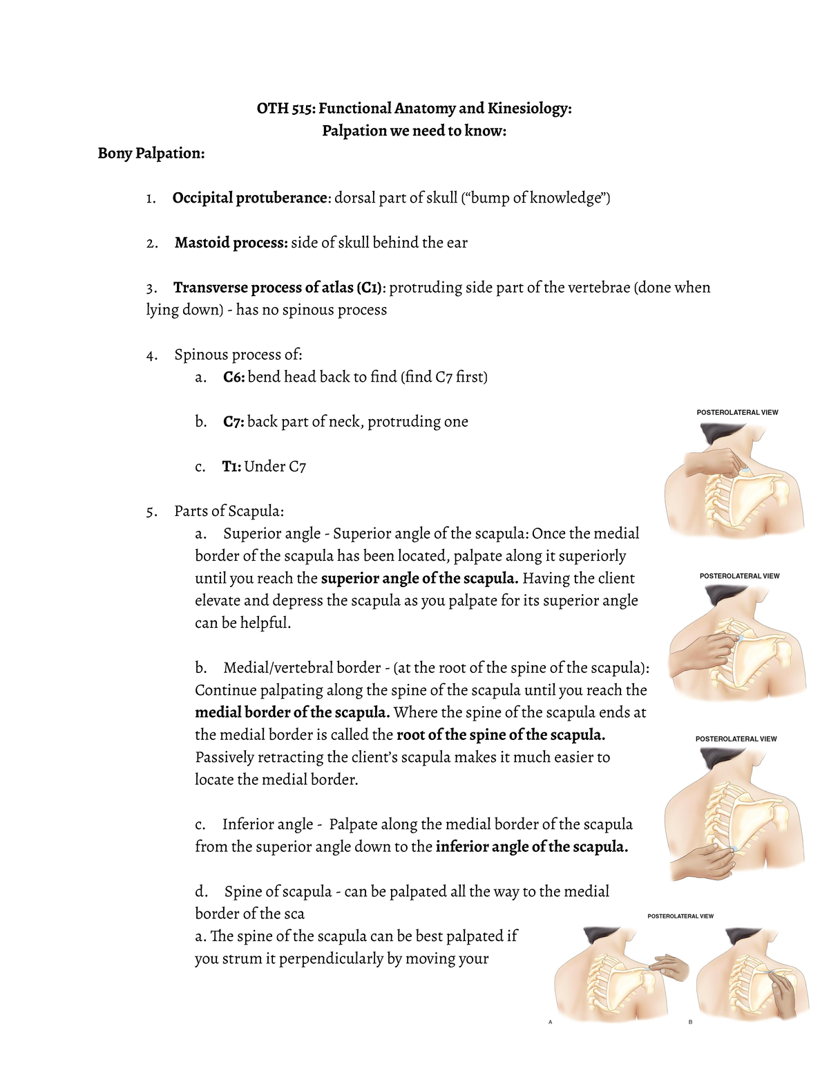 Superior Angle Of Scapula Palpation