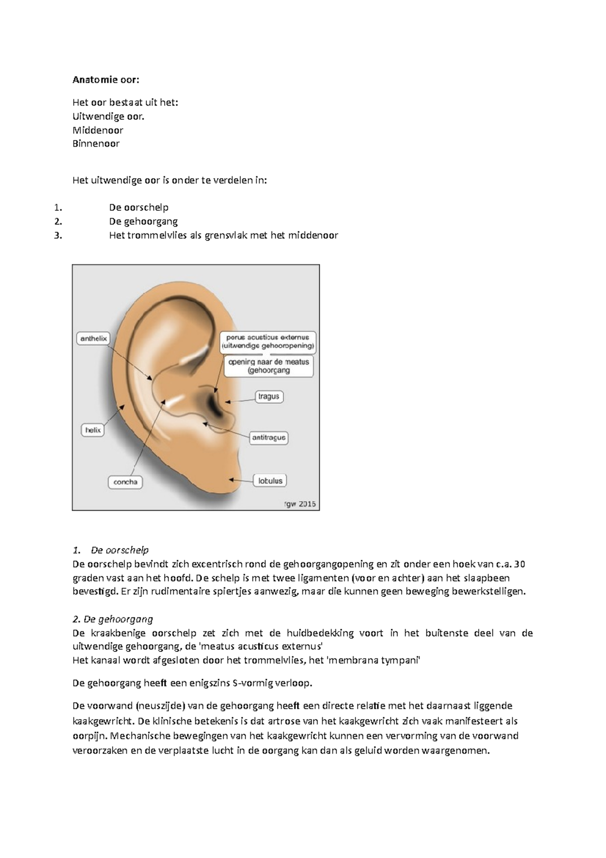 Anatomie Van Het Uitwendige Oor Diagram Sluiten Van Het Gaatje In Het