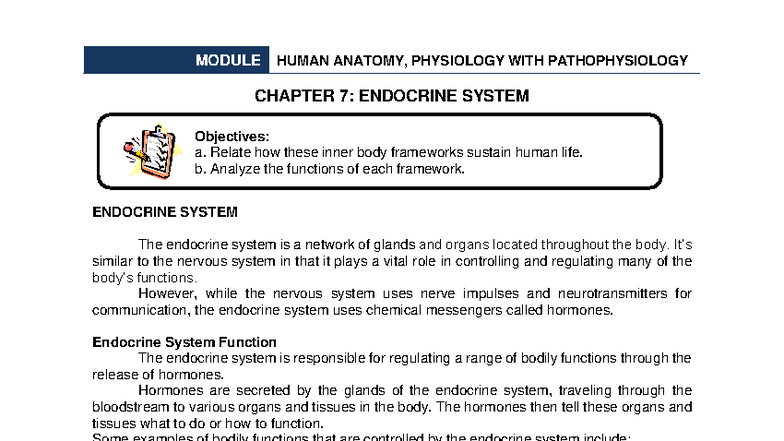 Human Anatomy & Physiology: Endocrine System Overview (Module) - Studocu