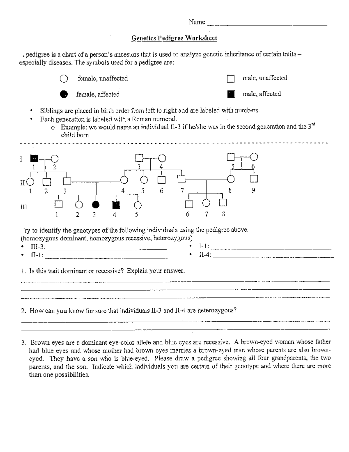 Pedigree+Practice+Worksheets - Name Genetics Pedigree Worksheet i ...
