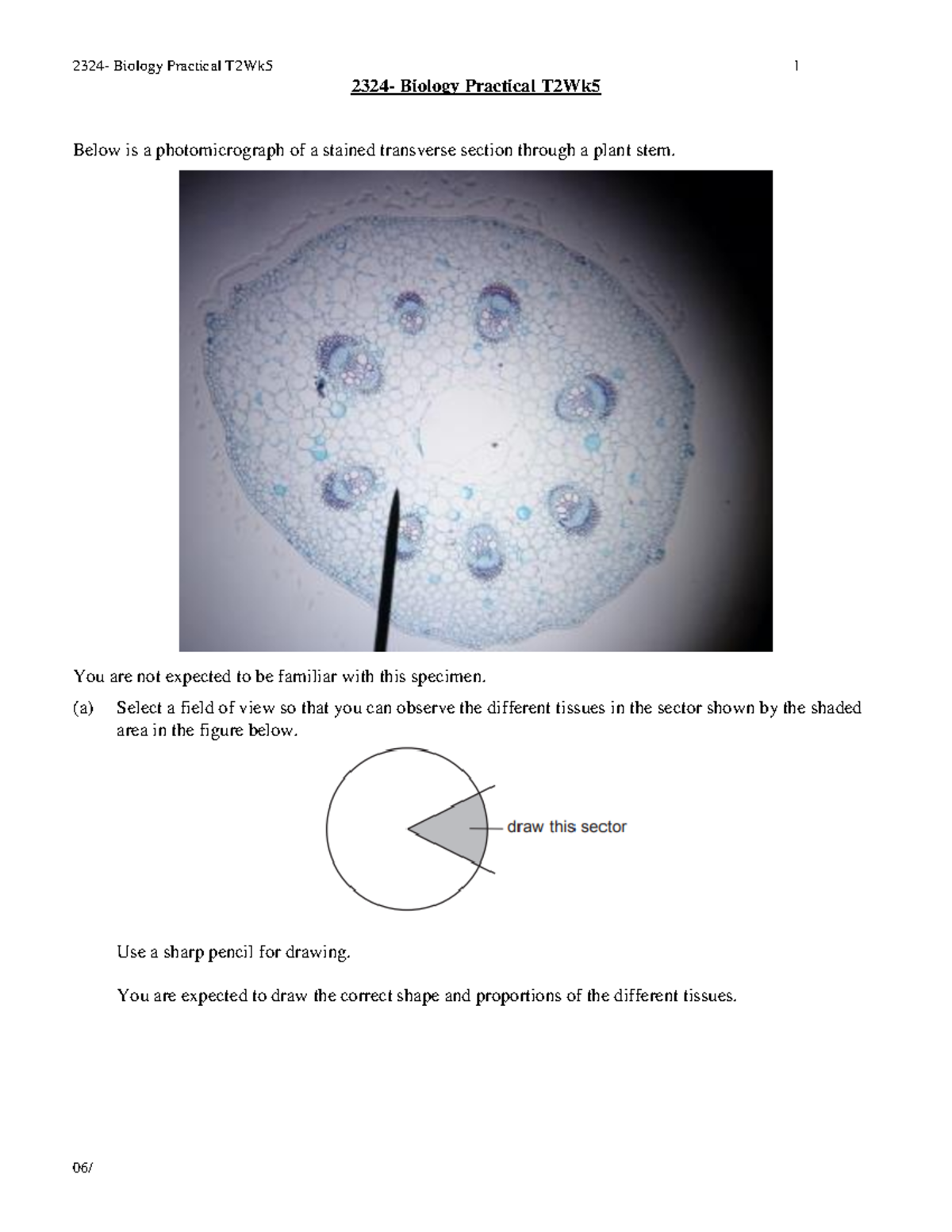 Biology Lab Report (2324) - Practical T2 Wk 5 Analysis - Studocu