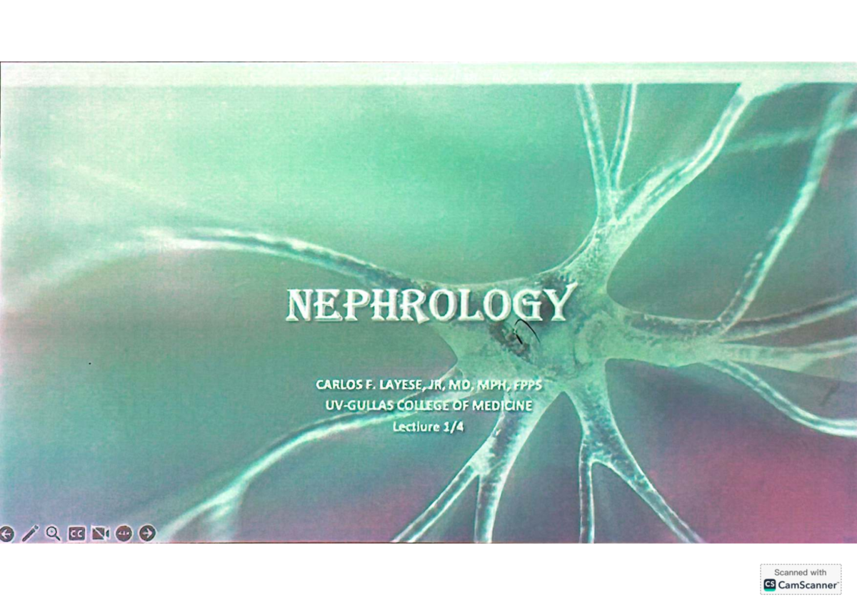 Nephrology Lecture 410: Urinary System & Nephron Function - Studocu