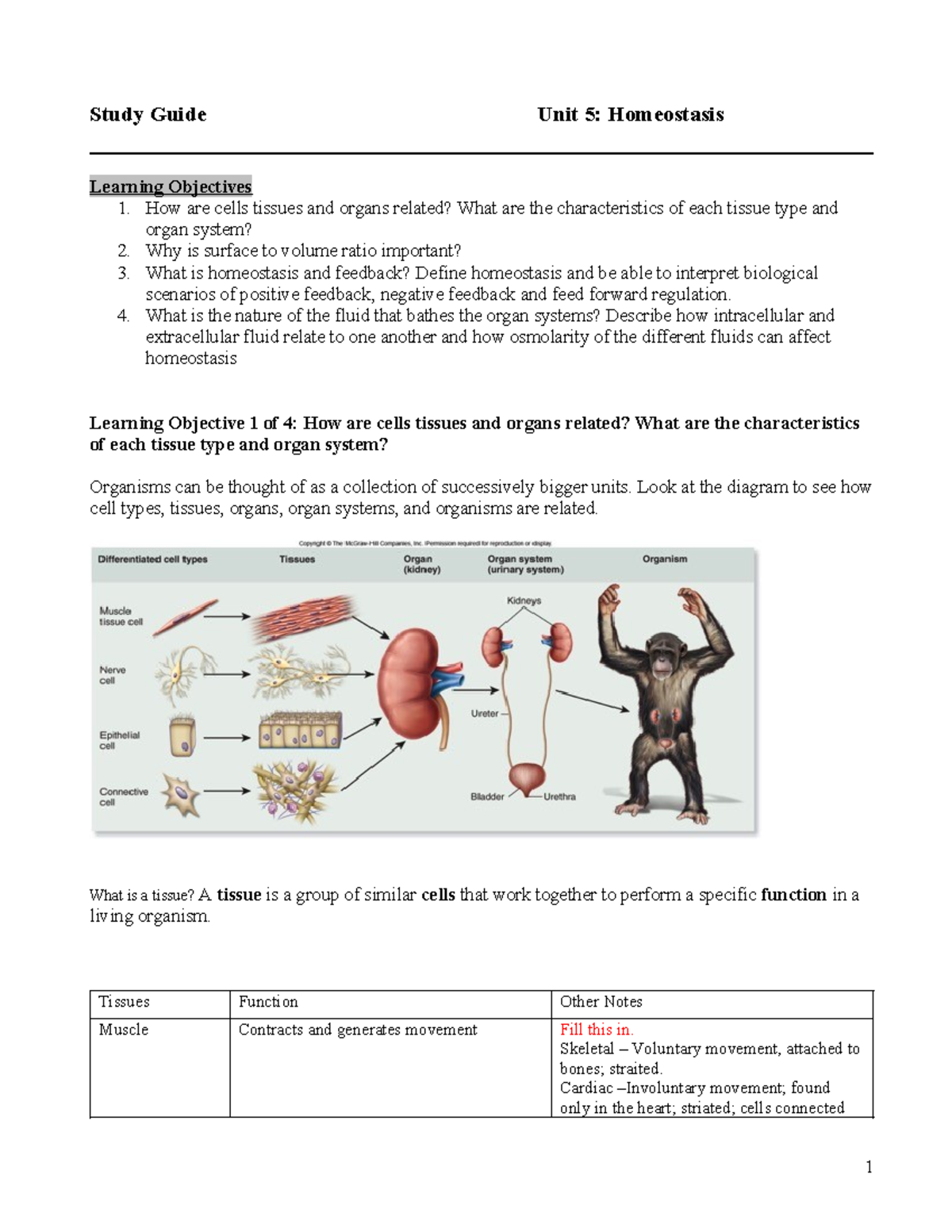 Unit 5: Homeostasis Study Guide - Key Concepts & Learning Objectives ...