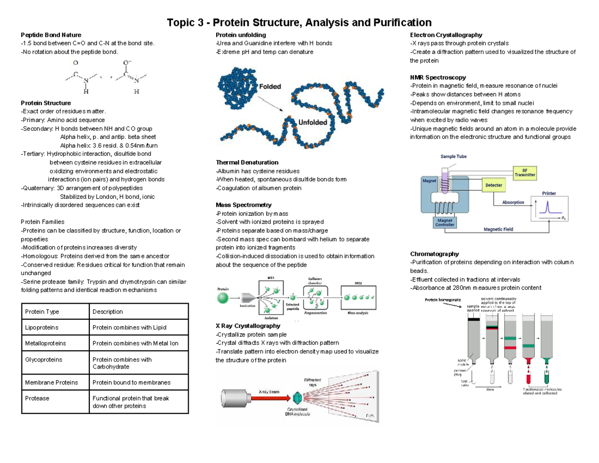 Biochem Cheat Sheet 3: Protein Structure and Analysis Overview - Studocu