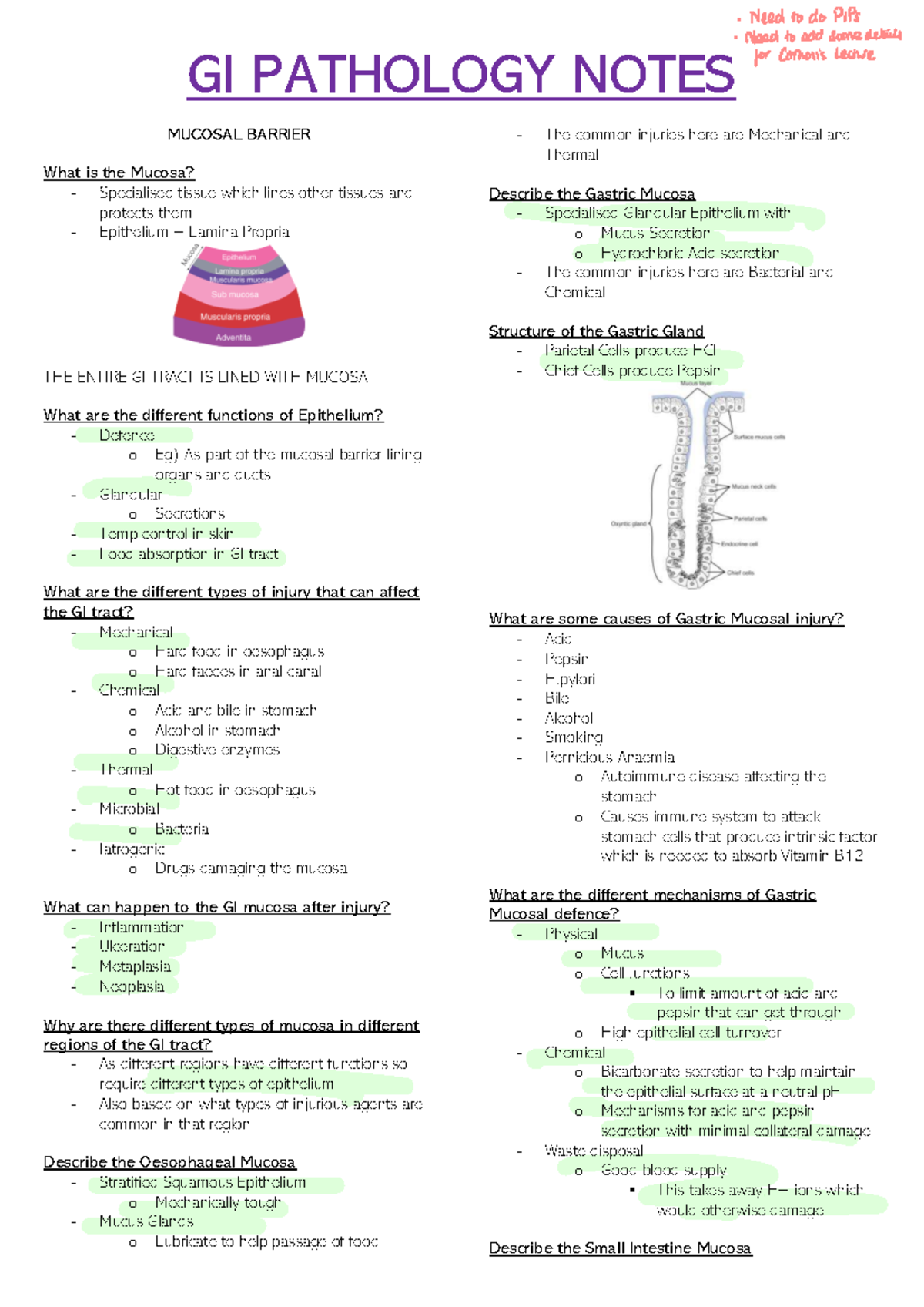GI PATHOLOGY NOTES: MUCOSAL BARRIER & CIRRHOSIS (GI 101) - Studocu