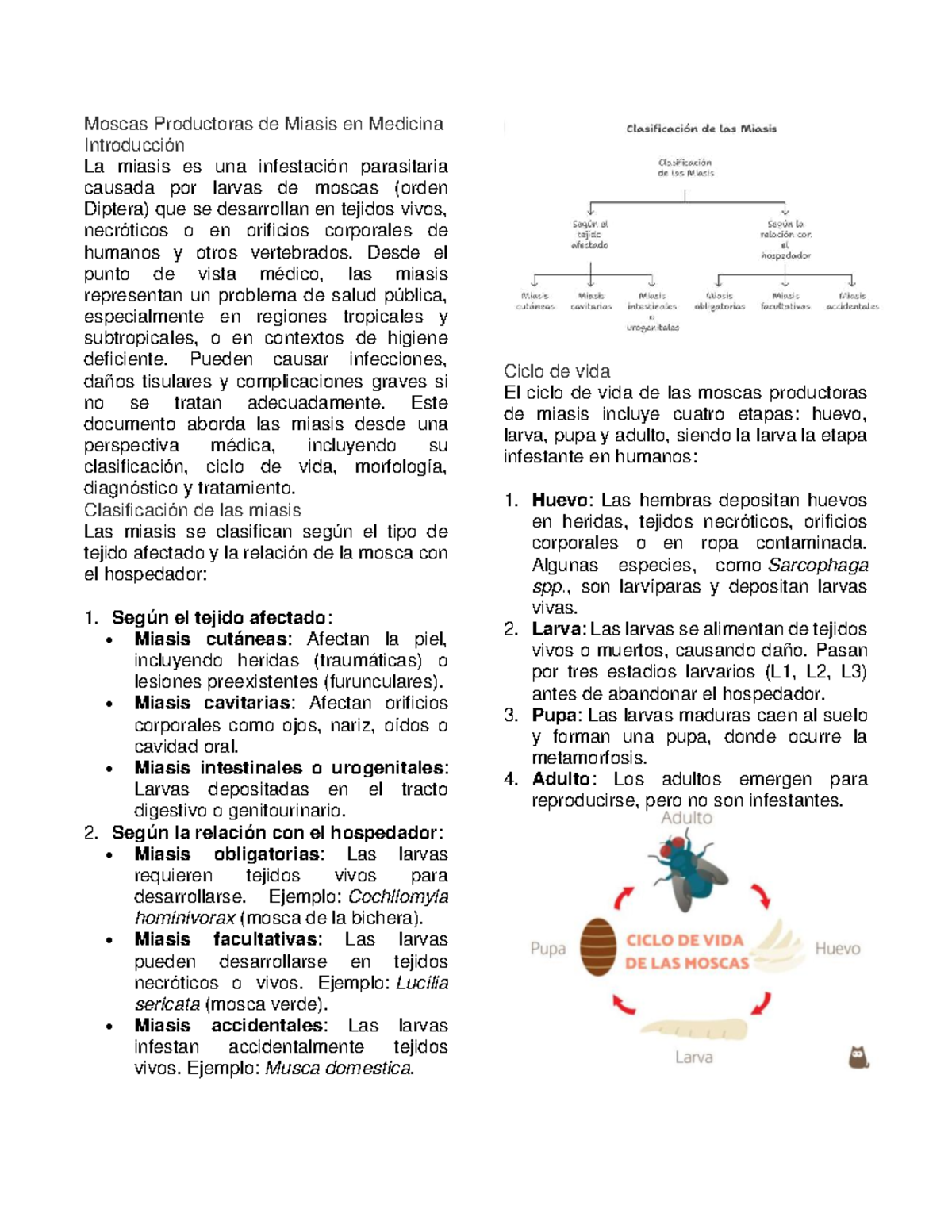 Miasis en Medicina: Clasificación, Ciclo de Vida y Tratamiento - Studocu
