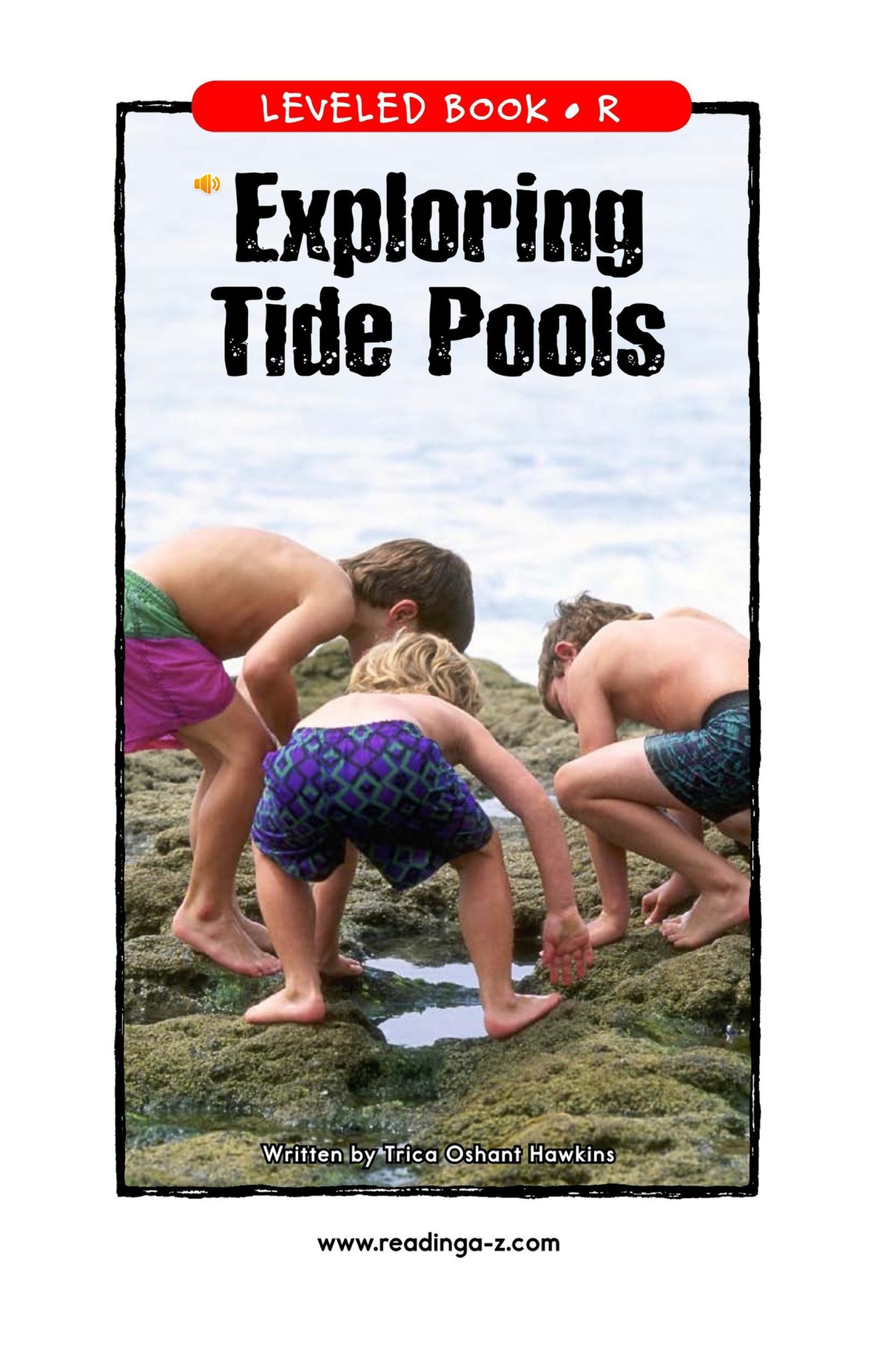 Exploring Tide Pools: Life and Adaptations in Intertidal Zones - Studocu