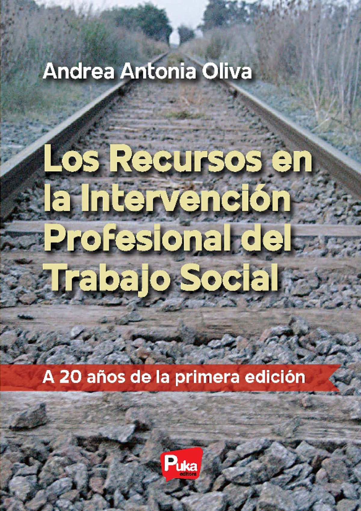 Los Recursos en la Intervención Profesional del Trabajo Social ...