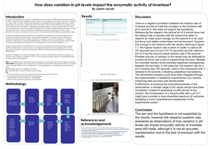 Sunset Boulevard themes summary - Theme Explanation Evidence Analysis ...