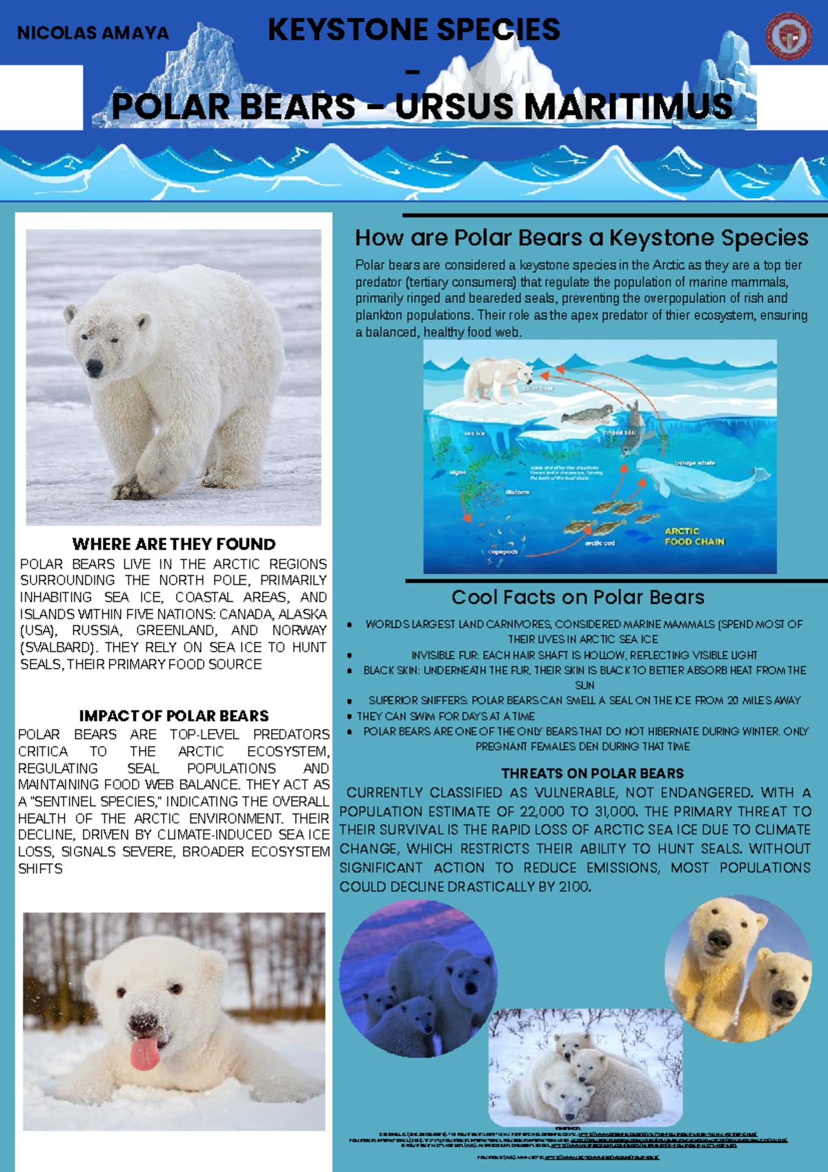 NICOLAS AMAYA: POLAR BEARS AS KEYSTONE SPECIES IN THE ARCTIC - Studocu