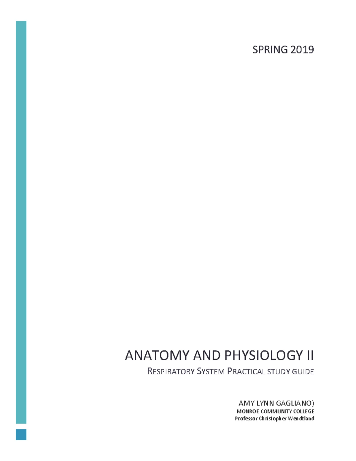 example exam questions on respiratory system - Respiratory system ...