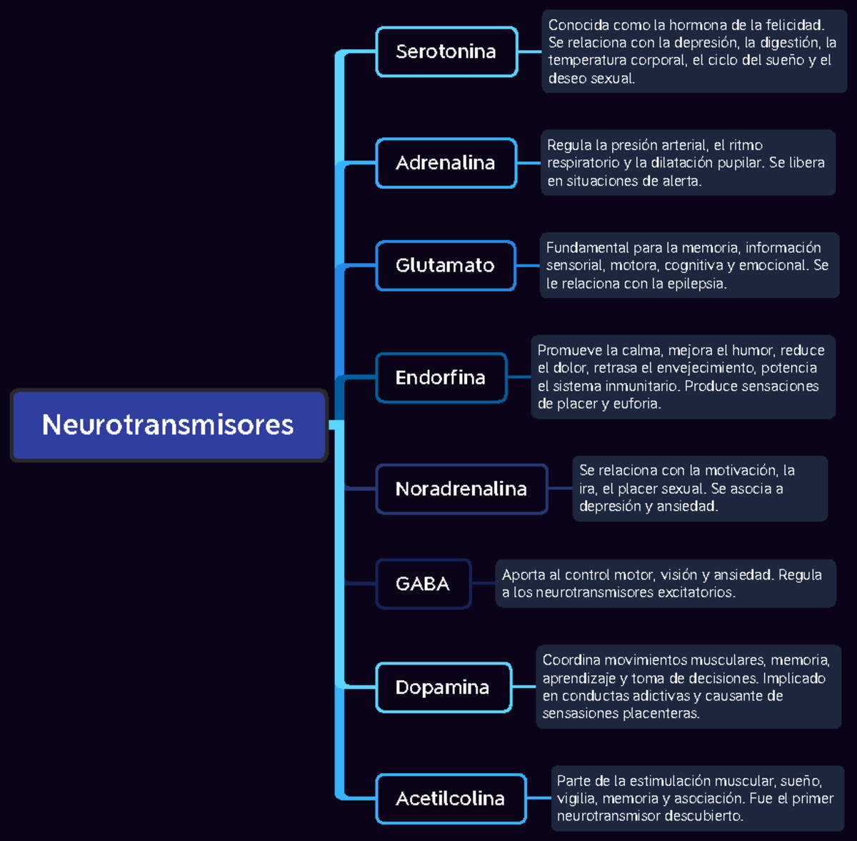 Esquema de Neurotransmisores: Serotonina, GABA, Dopamina y Más - Studocu
