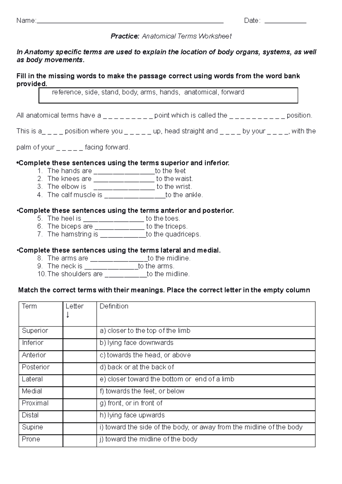 Anatomical terms worksheet - Name: Date: Practice: Anatomical Terms ...