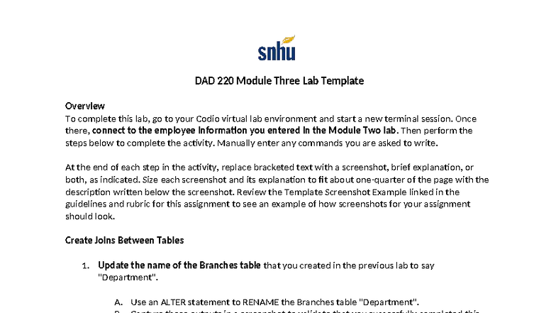 Module 3 lab - assignment - DAD 220 Module Three Lab Template Overview To complete this lab, go ...